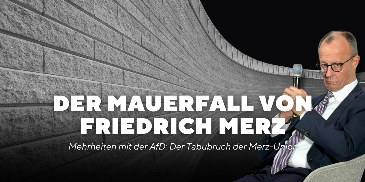 Der Mauerfall von Friedrich Merz | Progressive Lore